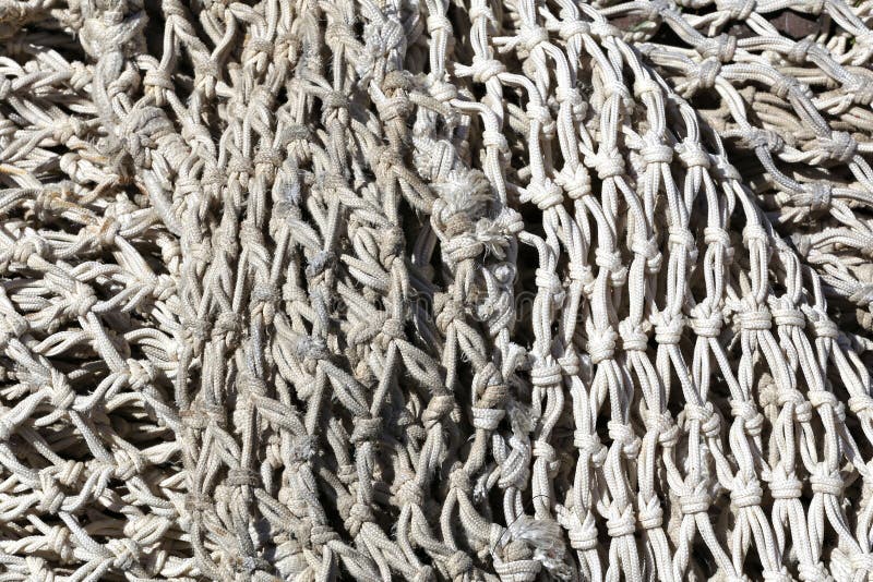 Trawler Bycatch Stock Photos - Free & Royalty-Free Stock Photos from ...