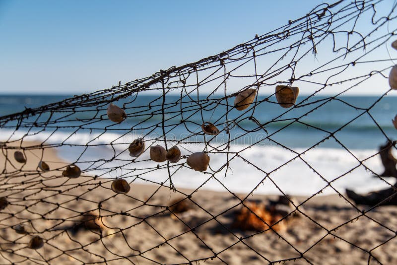 Shark Net in North Stradbroke Island, Queensland. Stock Photo - Image ...