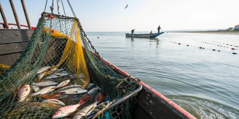 Fishing Net with Fish in the Black Sea Stock Illustration - Illustration of travelphotography ...