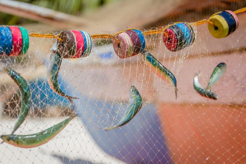 Fishing net stock image. Image of seaside, water, aegean - 219093