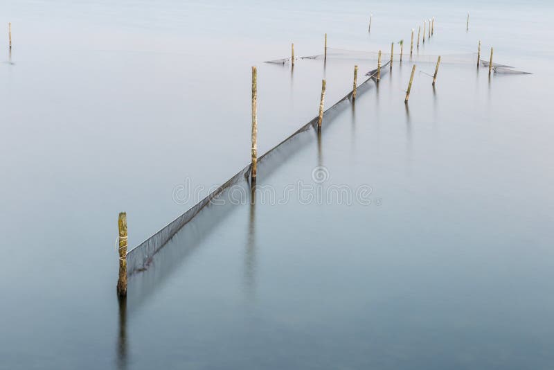 Fishing Net Fixed on Stakes Stock Photo - Image of objects, water ...