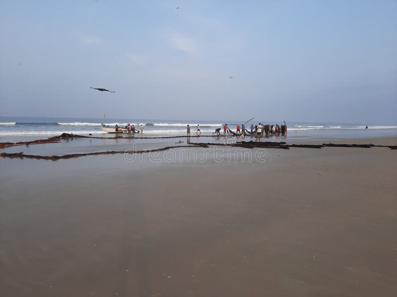 Fishing with Net in Goa, Goa Beach, Fishing in Sea. Stock Photo - Image ...