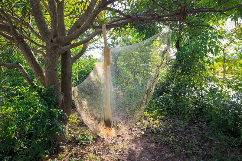 A fishing net editorial stock image. Image of tree, outdoor - 77997769