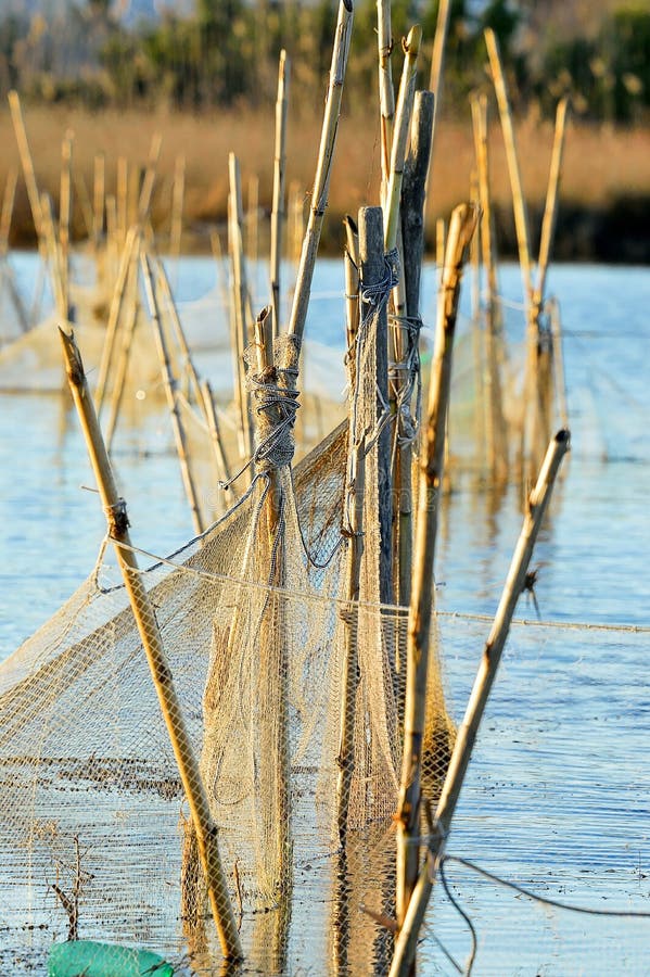 Fishing Net Picture,fishing Net Viewing,trap,entrapment,Fishing Net ...