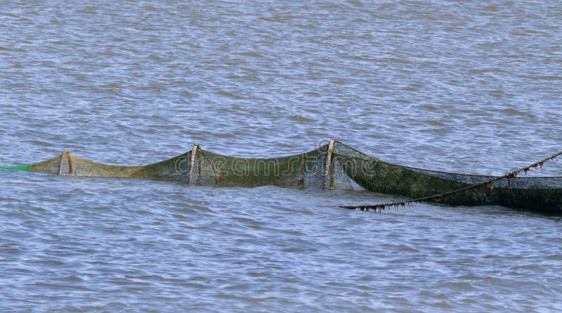 Fishing net in the sea stock image. Image of lagoon - 130192223
