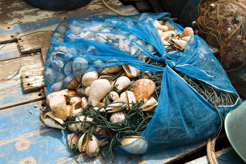 Fishing net with shells stock photo. Image of fishing - 6750084