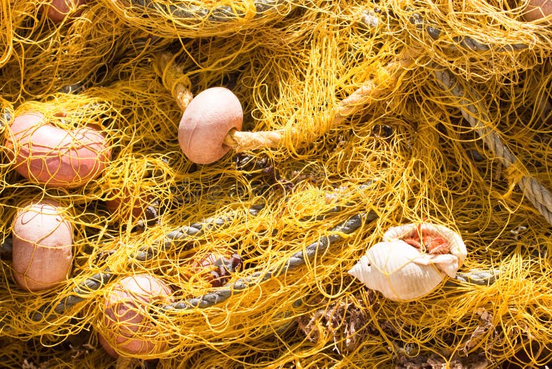 Fishing net with shell stock image. Image of bright, harbor - 14970731