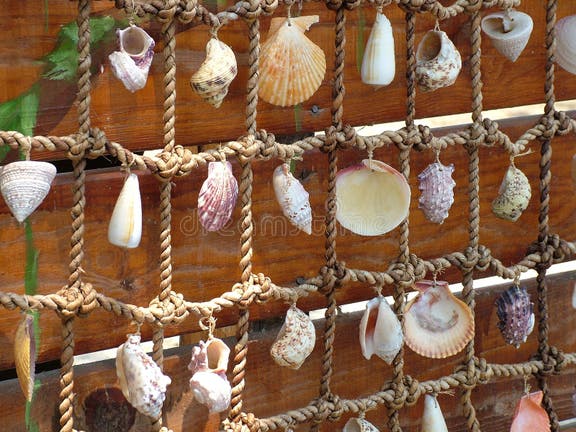 Fishing net with shells stock photo. Image of fishing - 6750084