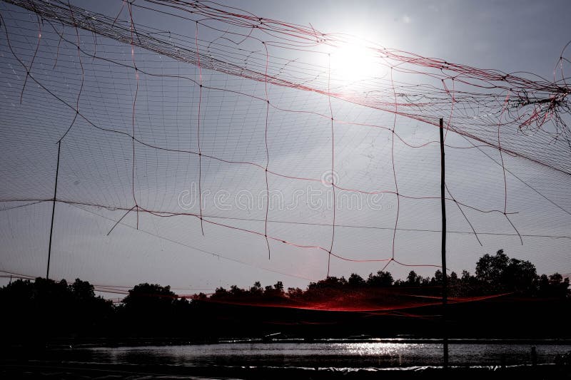 A Red Fishing Net Under Sunset Captured by Close-Up Mode. Stock Image ...