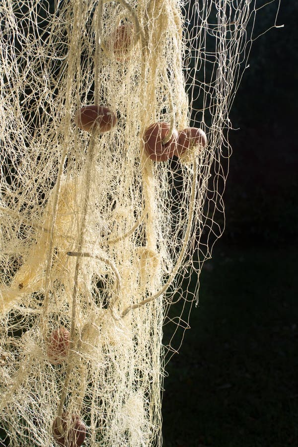 233 Stretched Fishing Stock Photos - Free & Royalty-Free Stock Photos from Dreamstime