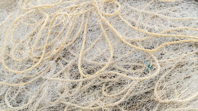 Fishnet Transparent Texture Stock Photos - Free & Royalty-Free Stock ...