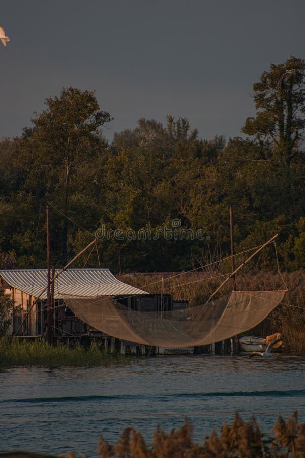 Fishing Net To Catch Fish at a Beach Stock Image - Image of lake, life ...