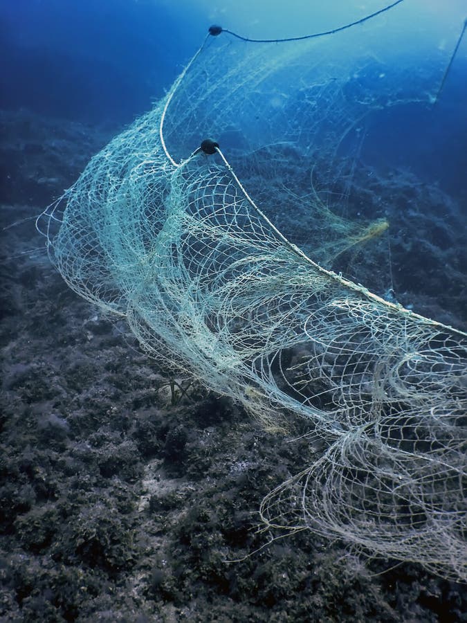 Overfishing Net Underwater Stock Photos - Free & Royalty-Free Stock ...