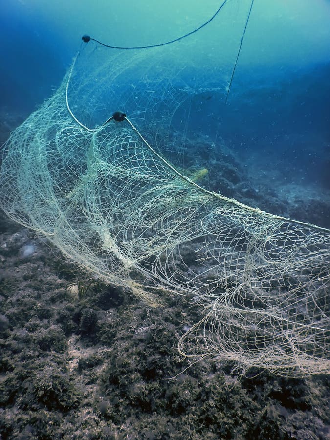 A Fishing Net Underwater Fixed on the Seabed Stock Image - Image of ...