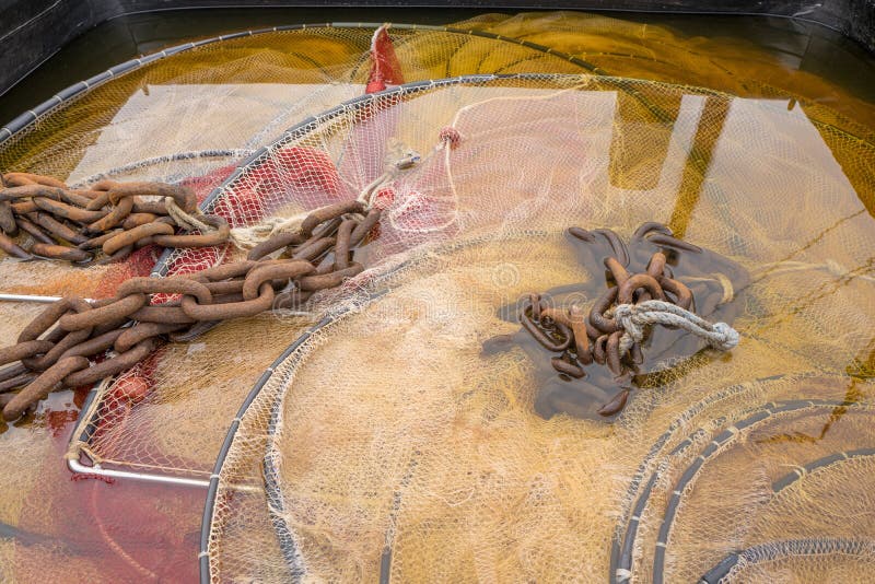 Fishing Nets are Cleaned in a Container with Acetic Acid. Stock Photo ...