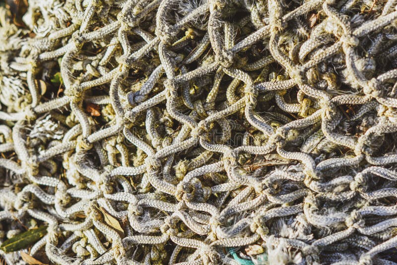 Fishing Nets and Equipment for Catching Fish at Sea Stock Photo - Image ...