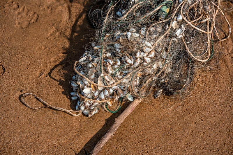 Fishing Nets with Fish, Garbage and Shells. the Concept of Nature ...
