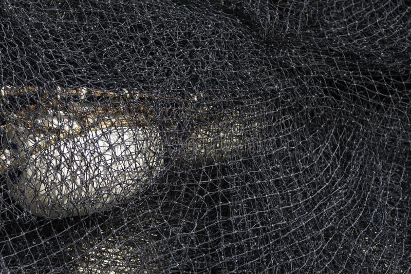 Fishing Nets 1 stock photo. Image of equipment, background - 45616358