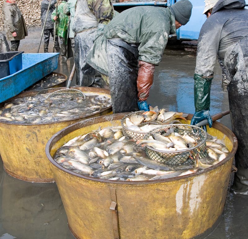 After fishing out stock image. Image of yellow, landing - 4811893