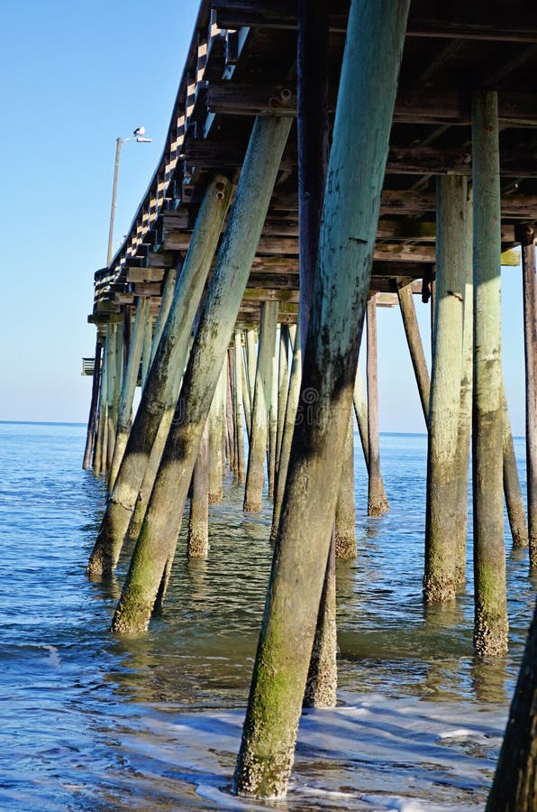 442 Ocean Pier Pylons Photos - Free & Royalty-Free Stock Photos from ...