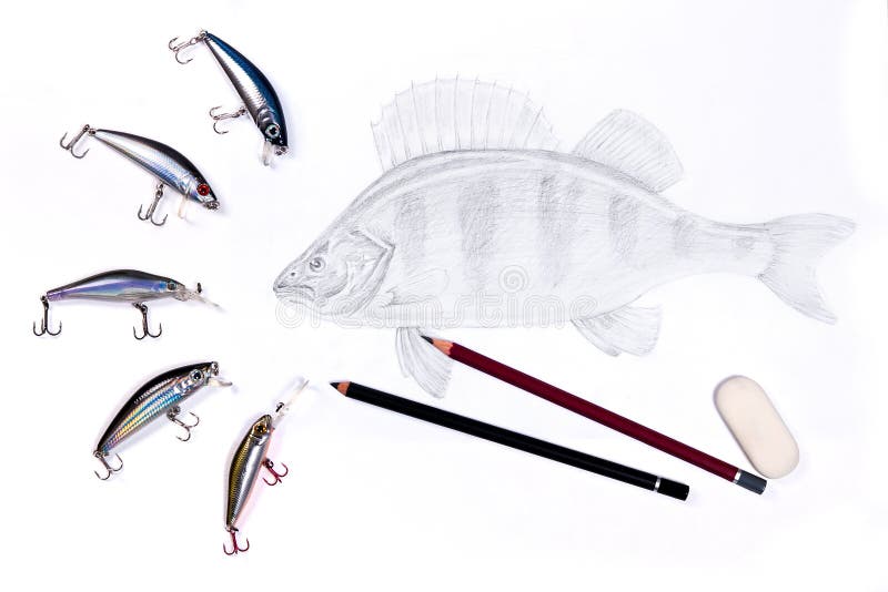 Fishing Plastic Baits with Drawing Fish. Graphite Pencils and Er Stock ...