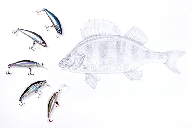 Pencil Fishing Stock Illustrations – 954 Pencil Fishing Stock ...