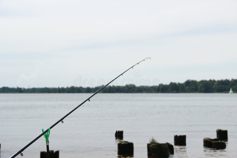 Fishing Pole with Reel and Fishing Line Stands at the Shore Stock Image ...