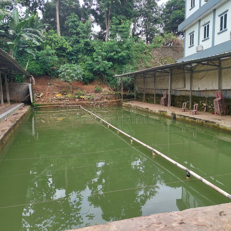 Fishing Pond in the Village Stock Image - Image of backyard, reflection ...