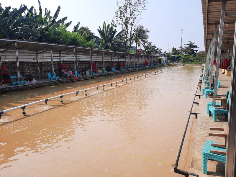 Fishing pool in Jakarta editorial stock photo. Image of water - 280134443