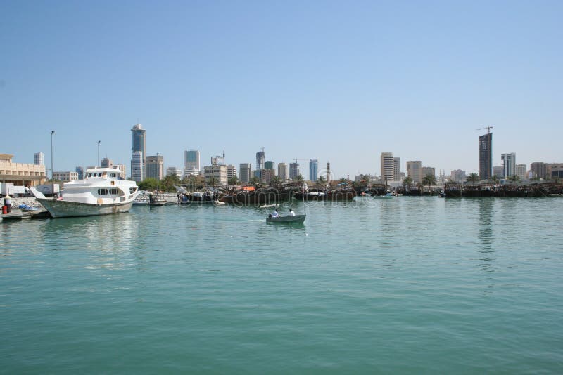 Dhub Lizard Kuwait stock image. Image of spiny, body, wildlife - 6080019