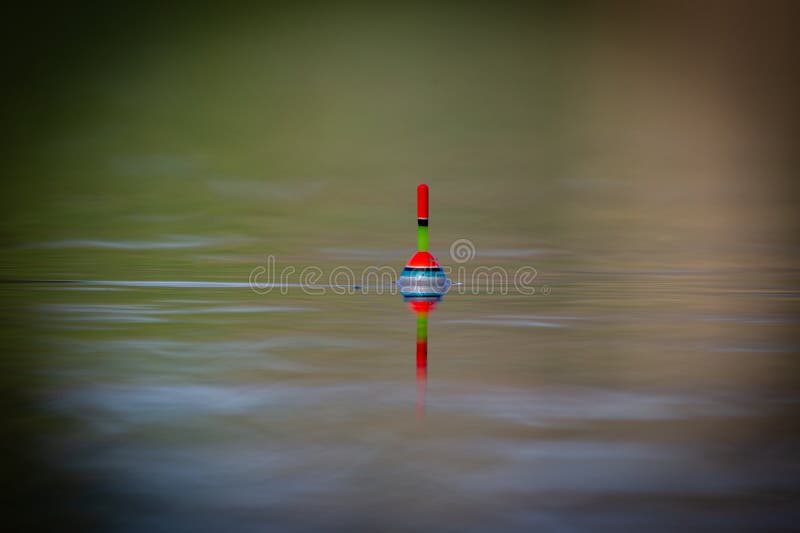 Fishing pose in the water stock photo. Image of catching - 306667678