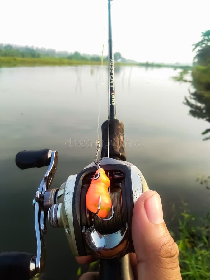 Fishing for Predatory Fish with Casting Technique Stock Image - Image ...