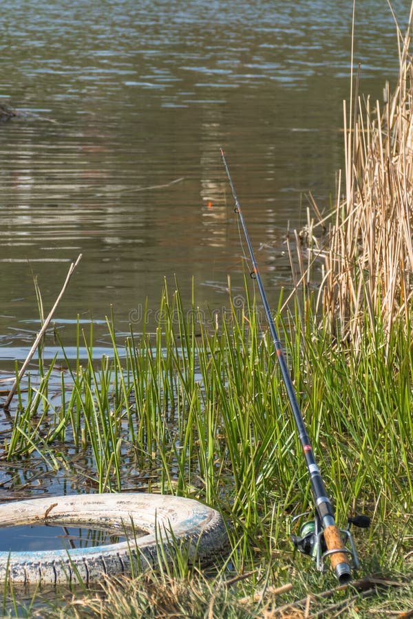 Fishing Rod and Reed on Wooden Background. Stock Image - Image of ...