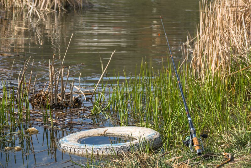 Fishing in reed pond stock photo. Image of lifestyle - 90071468