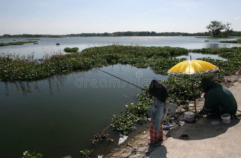 Fishing editorial photography. Image of central, food - 32080467