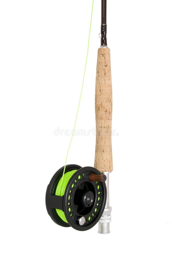 Easter bunny dachshund stock image. Image of cute, breed - 4377761