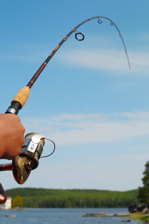 Fishing Rod stock image. Image of strike, bait, bent - 12723101