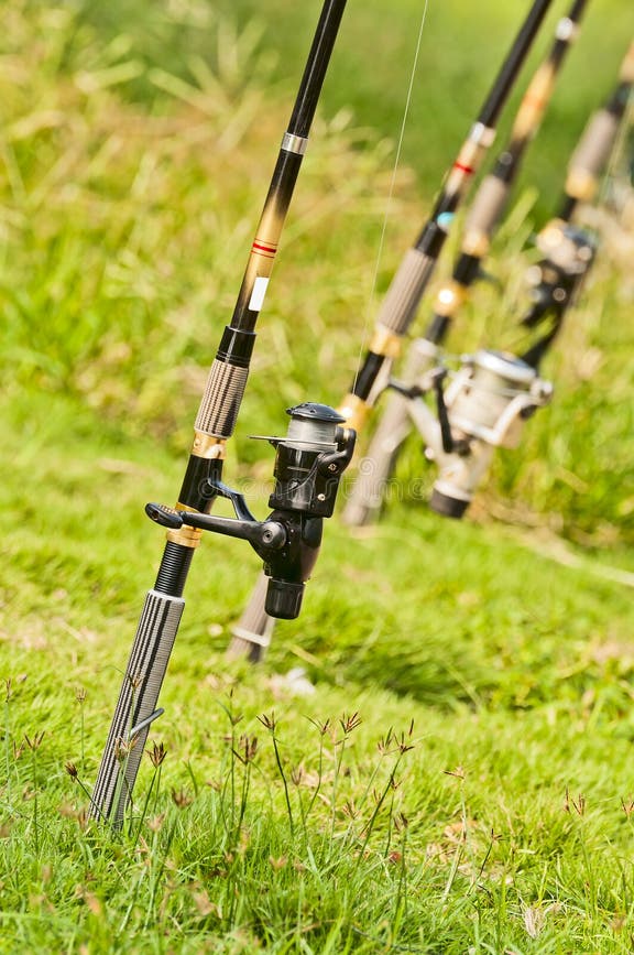 Fishing rod stock photo. Image of catch, rest, strike - 21126278