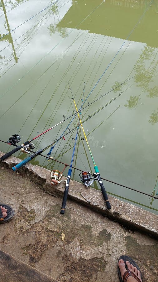 Fishing Rod Above the Fishing Pond Stock Image - Image of fishing, pond ...