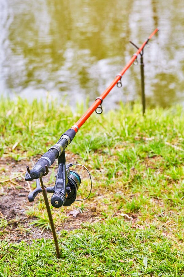 Fishing rod stock image. Image of nature, reel, equipment - 147981519