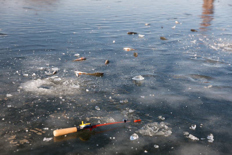 Fishing Rod and Catch a Fish Stock Photo - Image of fishing, landscape ...