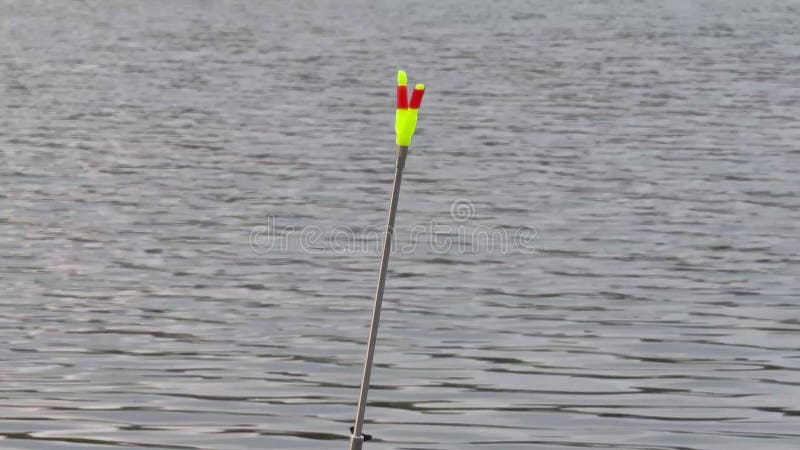 Fishing Rod Float Waiting for a Fish To Bite Stock Video - Video of ...