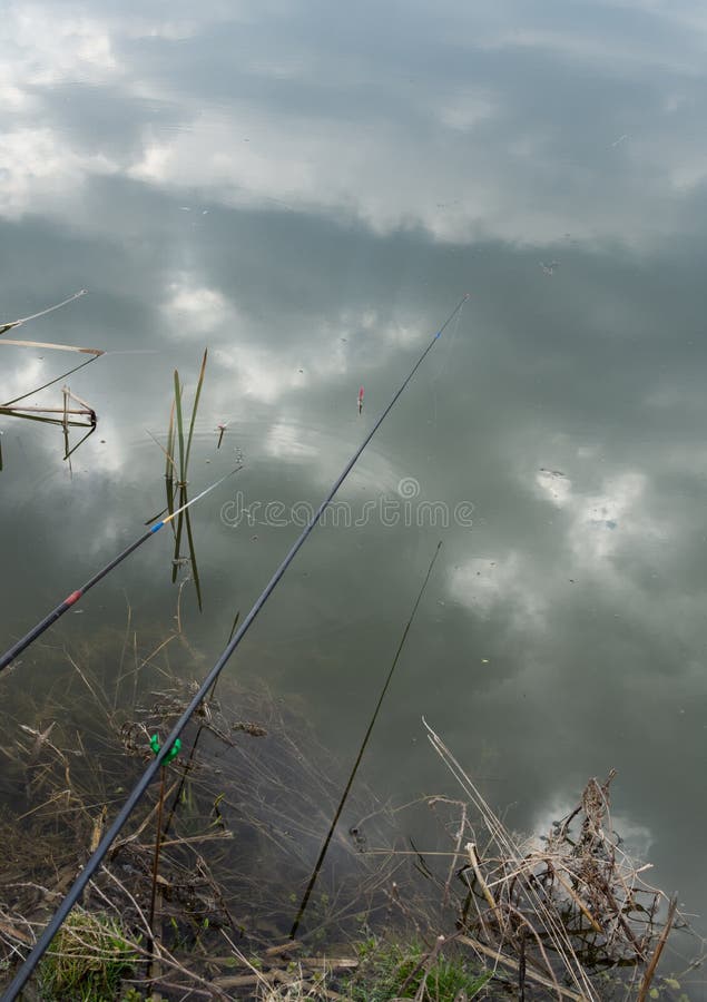 Fishing rod float in water stock image. Image of bobber - 146212295