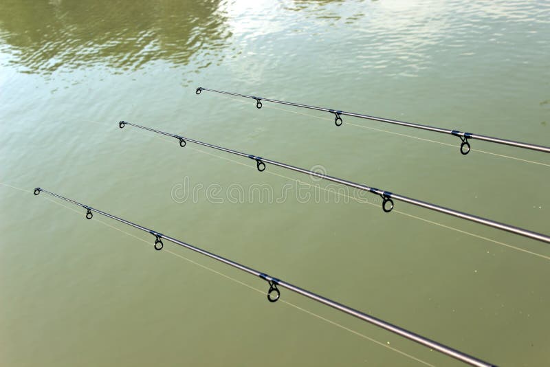 Fishing Rod at the Green Water Stock Photo - Image of nature, equipment ...