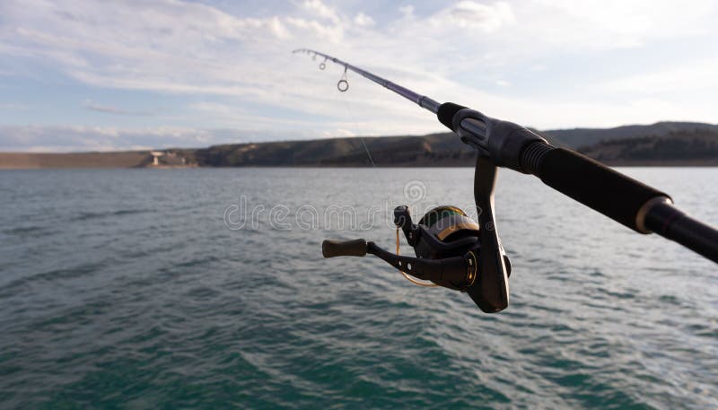 Fishing rod in a lake stock photo. Image of angling - 213748174