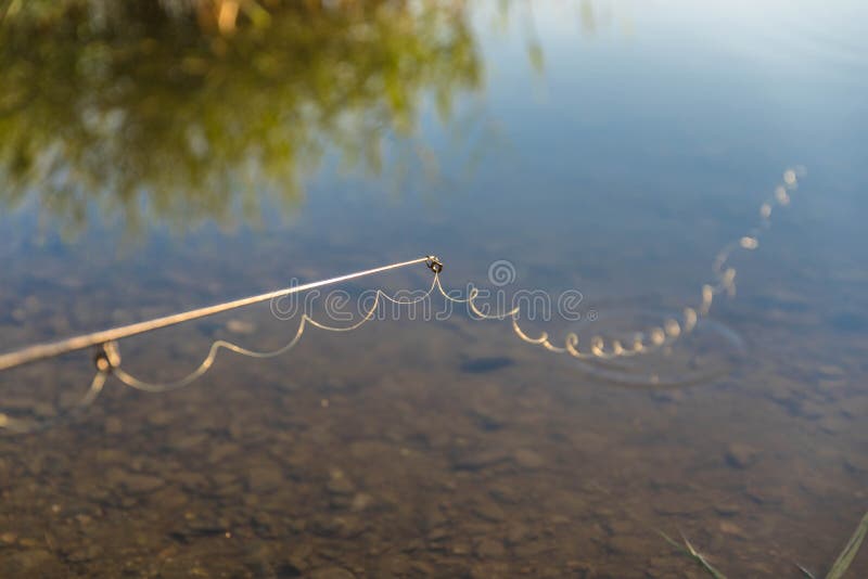 Fishing Rod Line stock photo. Image of water, reel, caught - 97115020