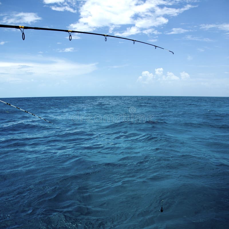 Sailfish Saltwater Sport Fishing Jumping Stock Image - Image of ...