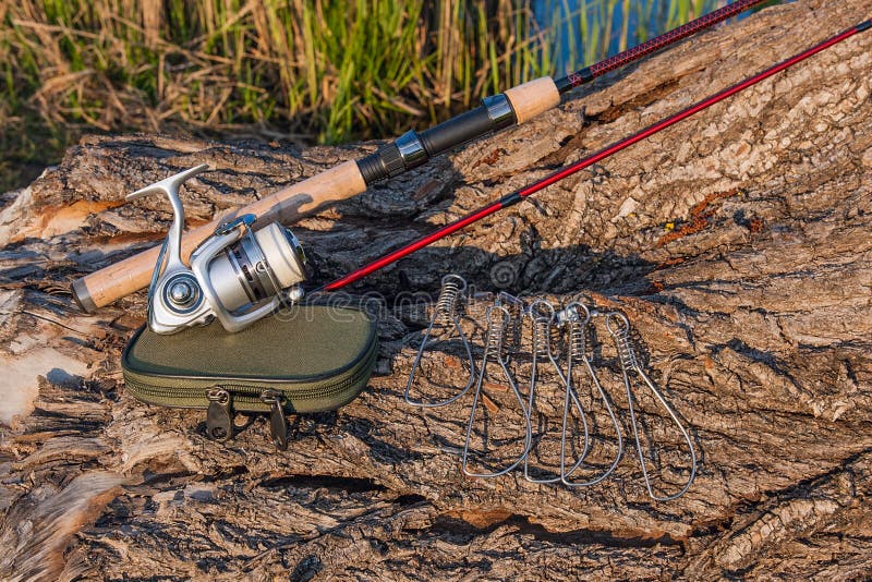 155 Fish Stringer Photos - Free & Royalty-Free Stock Photos from Dreamstime