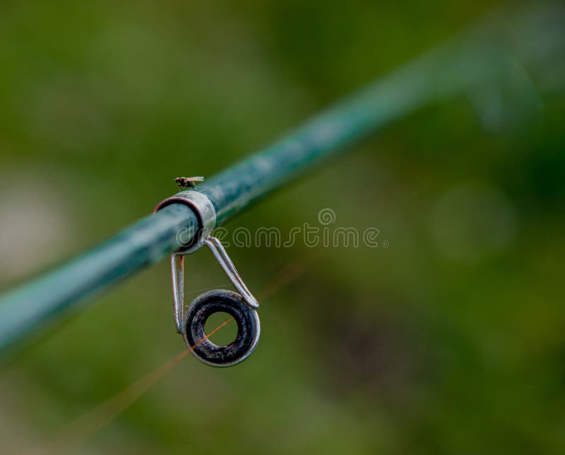 Fishing Rod Rings Close Up with Blurred Background Stock Image - Image ...