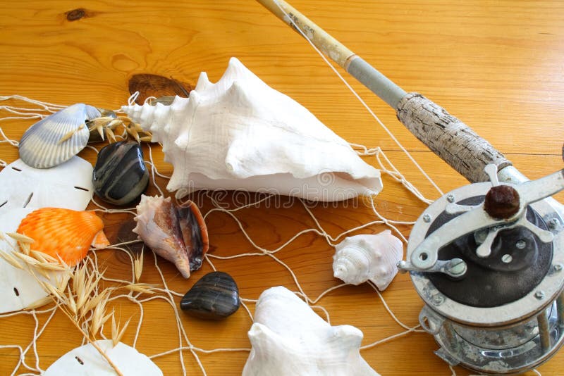 Fishing net with shells stock photo. Image of fishing - 6750084